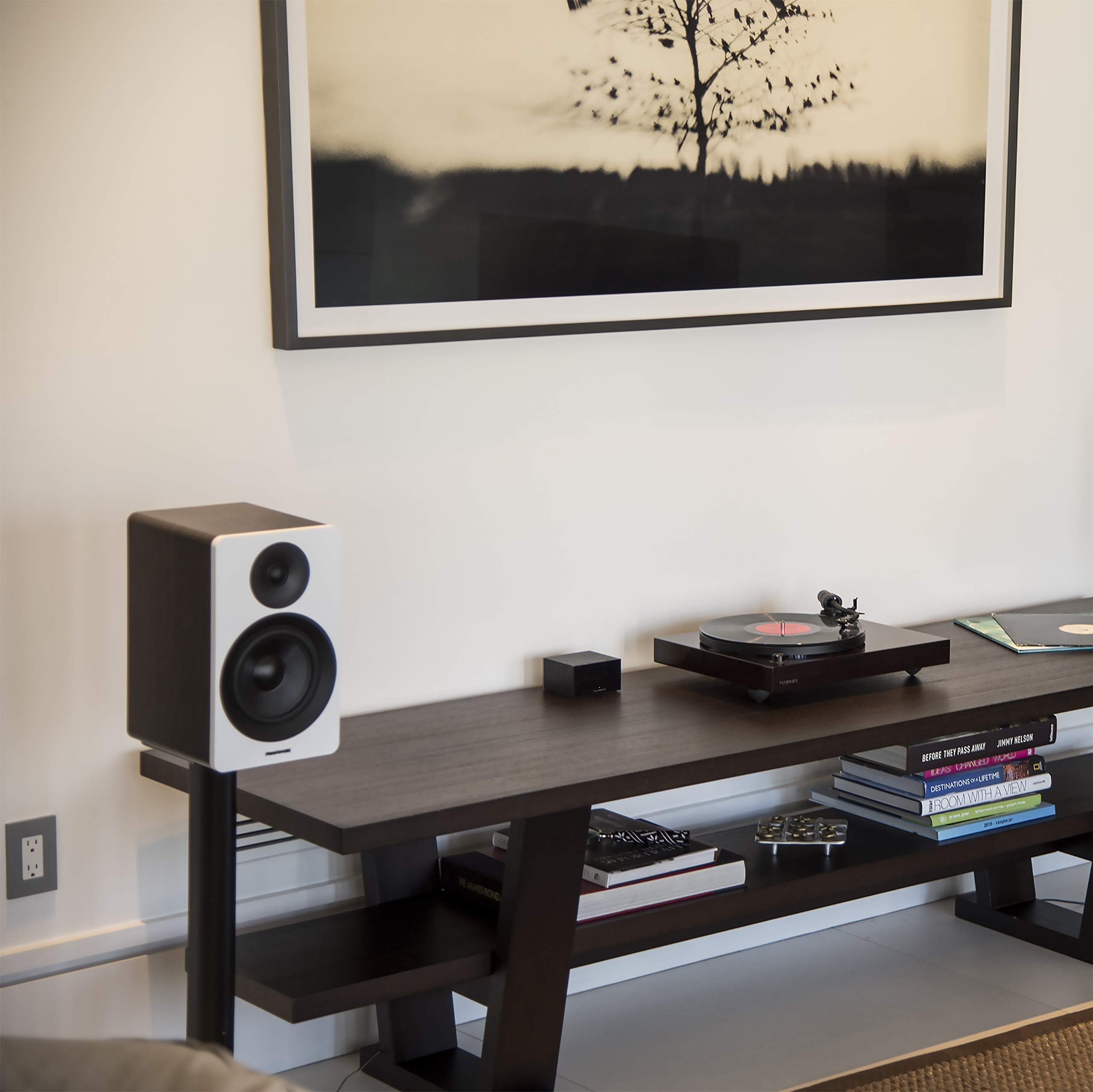 Fluance PA10 High Fidelity Phono Preamp (Preamplifier) with RIAA Equalization for MM Turntables/Vinyl Record Players