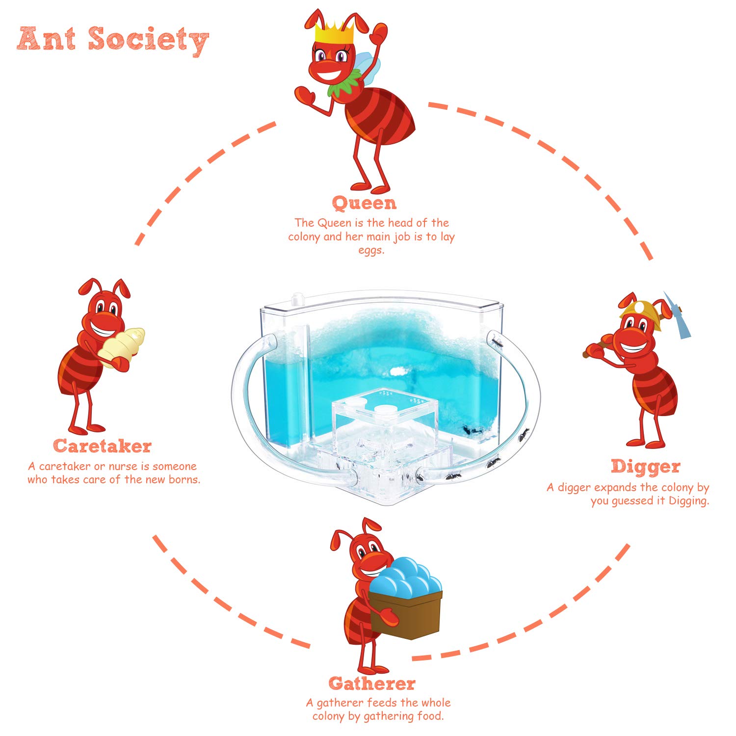 NAVADEAL Ant Farm Castle 2.0 with Connecting Tube, Ant Habitat Science Learning Kit, Best STEM 2021 Educational Kids Toy, Study Insect Behavior at Home & School, Plant Based Blue Gel 3D Maze Ecosystem