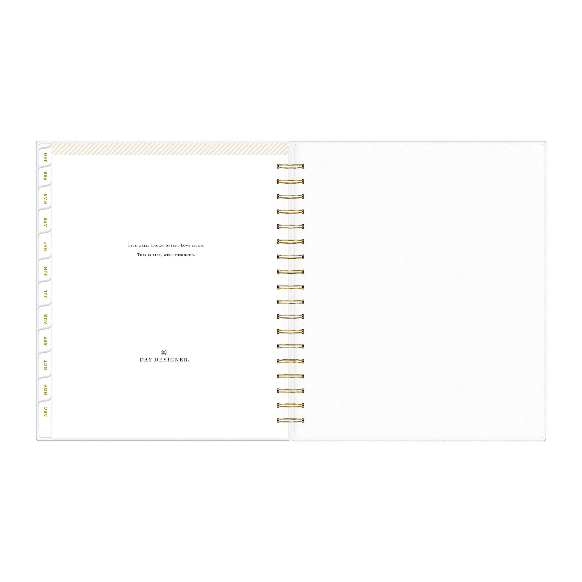 Day Designer for Blue Sky 2023 Daily and Monthly Planner, 8" x 10", Frosted Cover, Wirebound, Navy Stripe (142098)