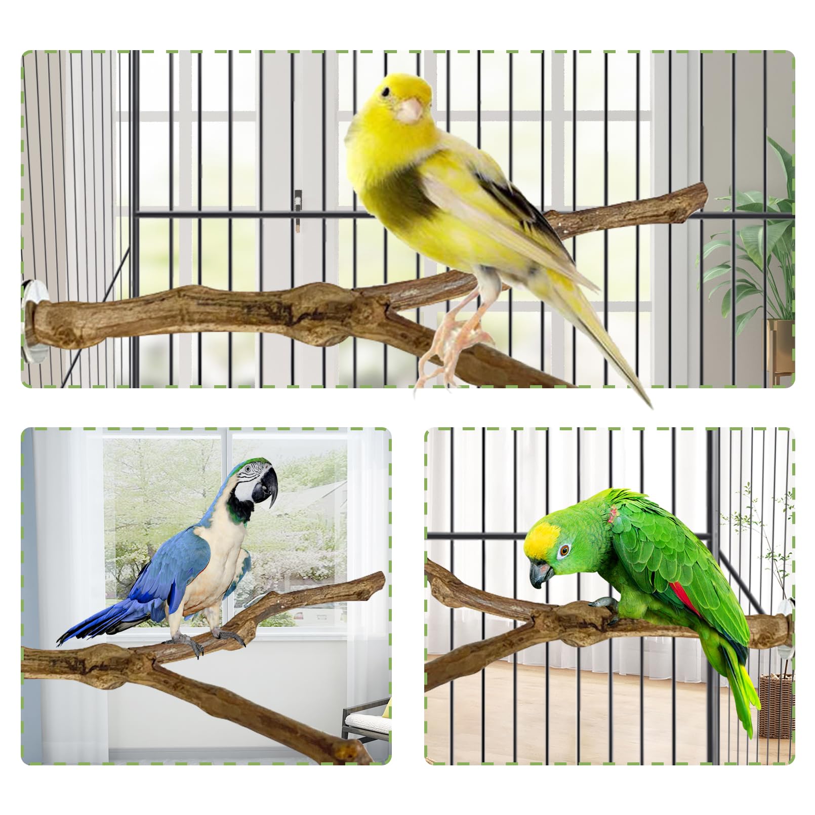 kathson Natural Parrot Perch Bird Stand Pole Wild Grape Stick Paw Grinding Fork Parakeet Climbing Standing Branches Toy Chewable Cage Accessories for Small Budgies Cockatiels Lovebirds 3PCS