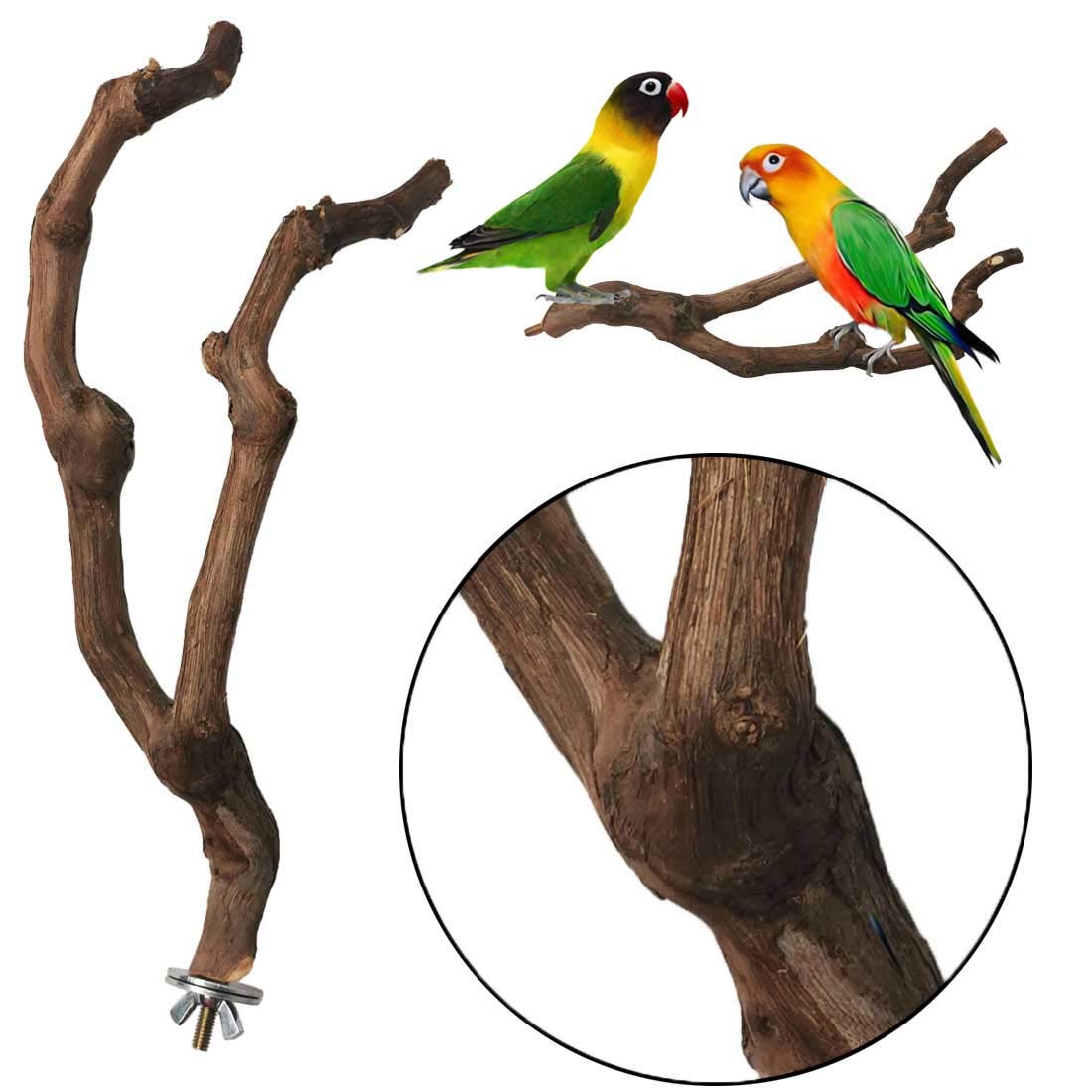 kathson Natural Parrot Perch Bird Stand Pole Wild Grape Stick Paw Grinding Fork Parakeet Climbing Standing Branches Toy Chewable Cage Accessories for Small Budgies Cockatiels Lovebirds 3PCS