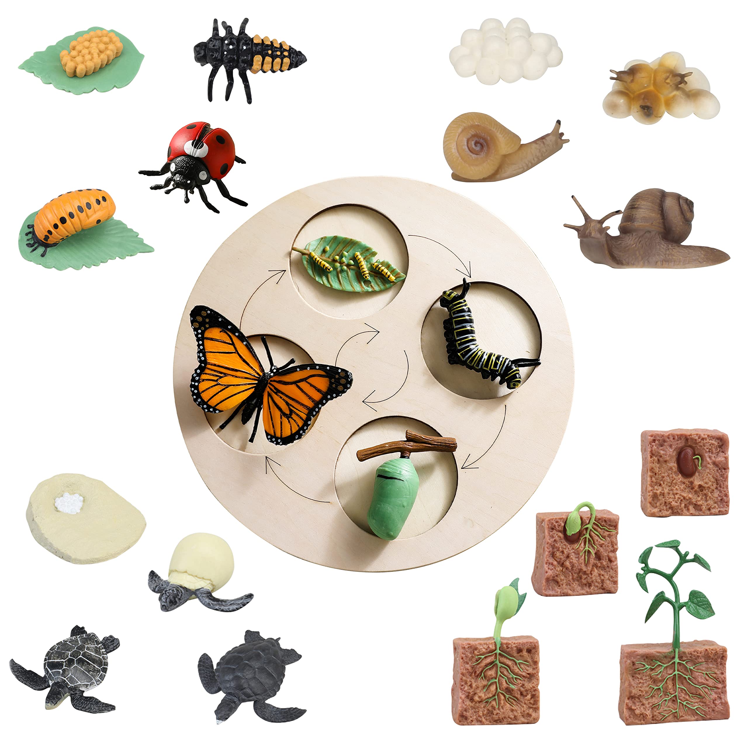 21 PCS Life Cycle Figurines of Butterfly Ladybug Snail Turtle Plant with Wooden Board, Realistic Animal Growth Cycle Figures, Education Learning Growth Stage Model Biology Science Kit Toy for Kids