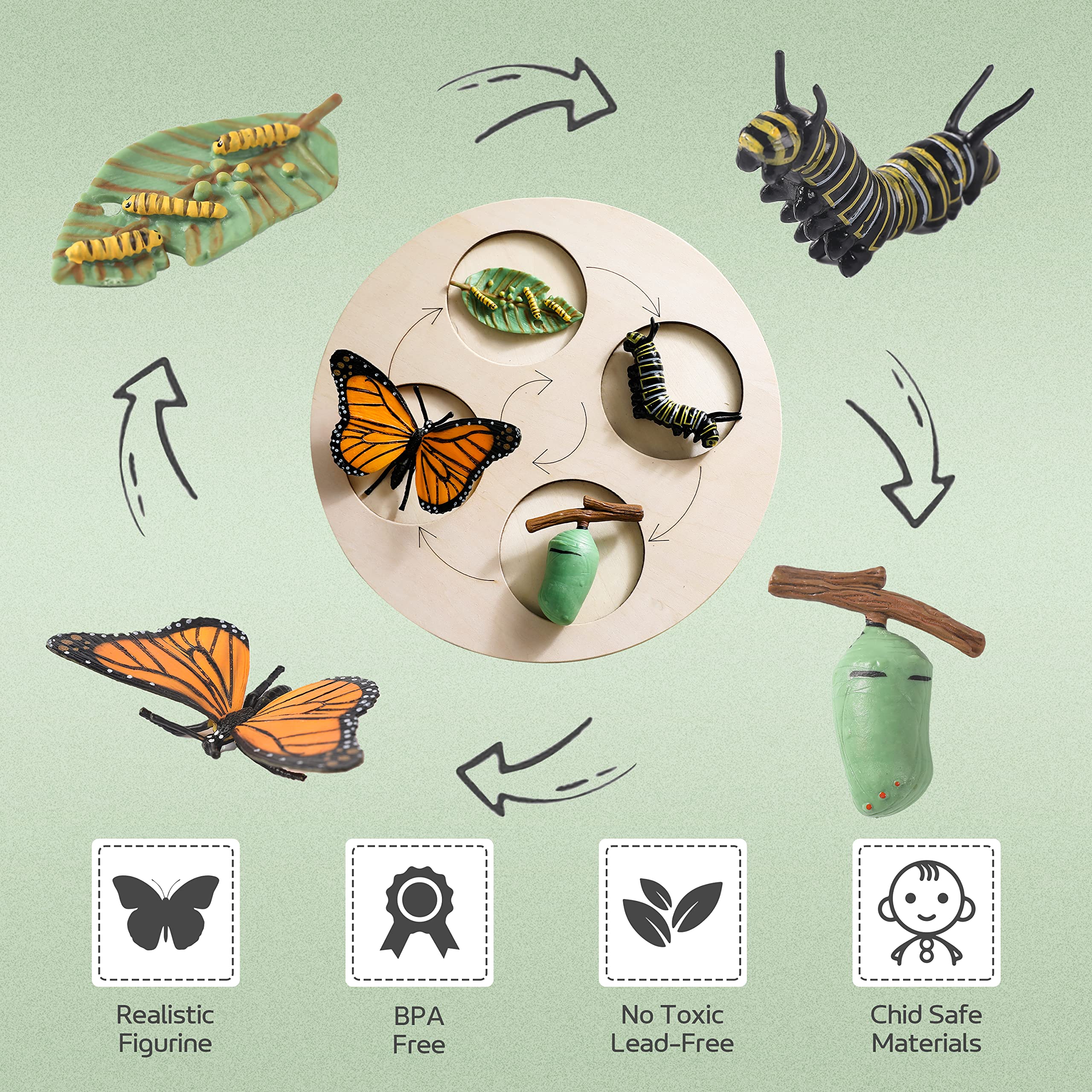 21 PCS Life Cycle Figurines of Butterfly Ladybug Snail Turtle Plant with Wooden Board, Realistic Animal Growth Cycle Figures, Education Learning Growth Stage Model Biology Science Kit Toy for Kids