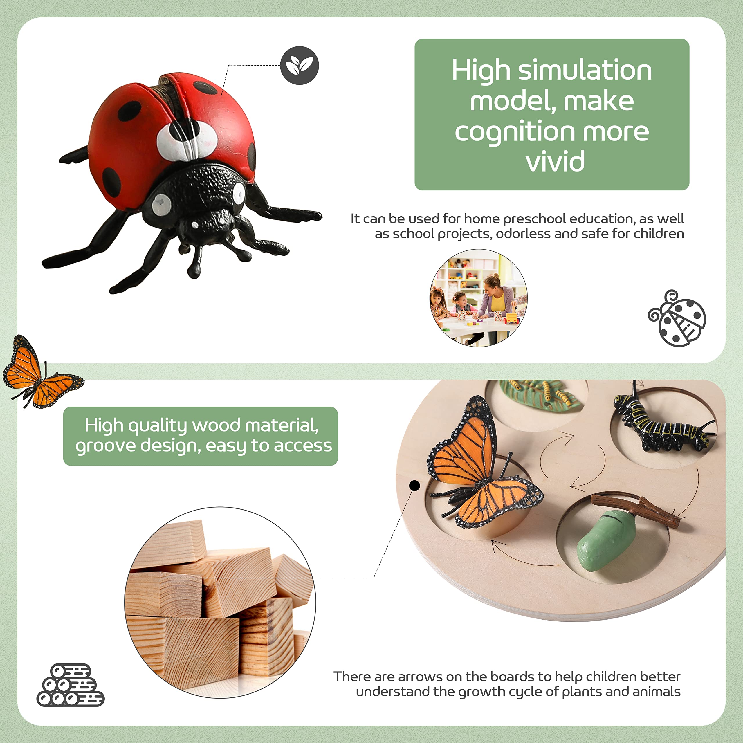 21 PCS Life Cycle Figurines of Butterfly Ladybug Snail Turtle Plant with Wooden Board, Realistic Animal Growth Cycle Figures, Education Learning Growth Stage Model Biology Science Kit Toy for Kids