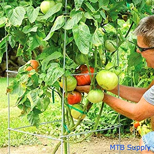 Galvanized Square Folding Tomato Cage Plant Support Stake Tower 12 inch by 46 inch, Pack of 2 Sets
