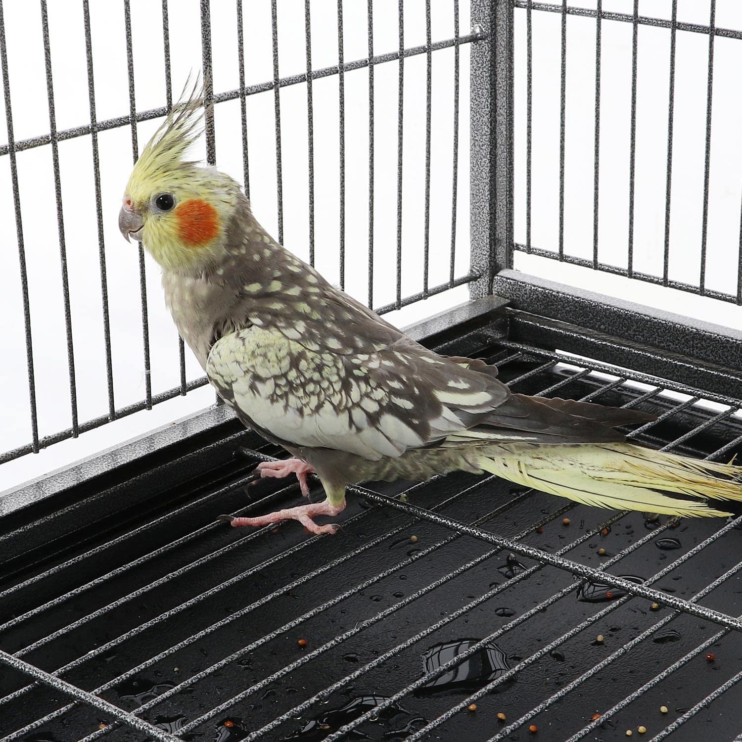 Yaheetech 60.5inch Extra Large Bird Cage Metal Parrot Cage Flight Cage for Cockatiels African Grey Quaker Green Cheek Sun Conure Medium Birds Parrots
