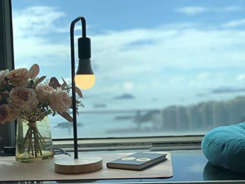 Qivation TiO2 E26 Smart LED Light Bulb 8W 800lm with 24/7 Air Purification, BLT+WiFi Smart Bulb, RGB Full Color, Compatible with Alexa & Google Assistant, No Hub Required