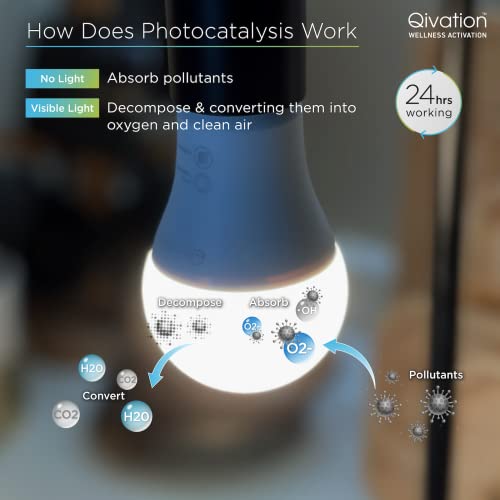 Qivation TiO2 E26 Smart LED Light Bulb 8W 800lm with 24/7 Air Purification, BLT+WiFi Smart Bulb, RGB Full Color, Compatible with Alexa & Google Assistant, No Hub Required