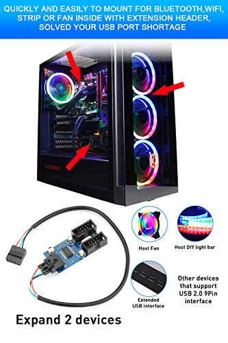 Rocketek Motherboard USB 2.0 9pin Header 1 to 2 Extension Hub Splitter Adapter - Converter MB USB 2.0 Female to 2 Female - 30CM Cable USB 9-pin Internal Cable 9 pin Connector Adapter Port Multiplier …