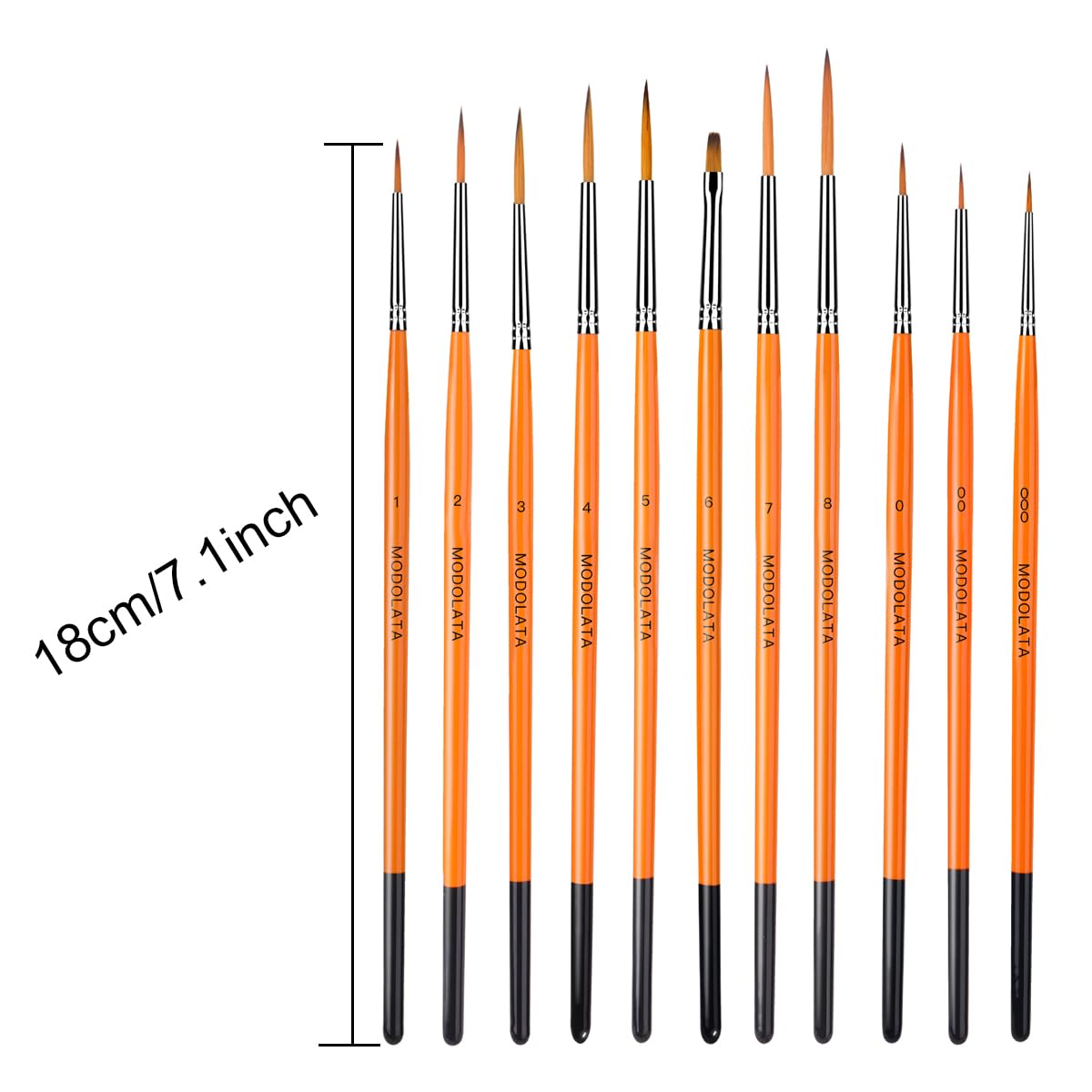 Model Paint Brushes Set - 11 Pieces Fine Detail Painting Brushes for Acrylic, Oil, Watercolor - Airplane Kits, Ceramic, Enamel, Miniatures