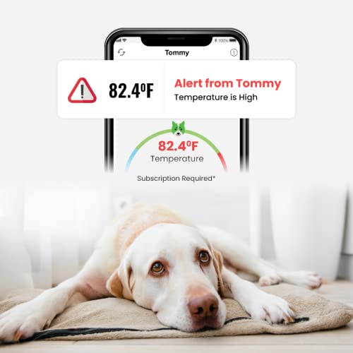 Waggle RV/Dog Safety Temperature & Humidity Sensor | Wireless Pet monitoring system | Verizon Cellular | Instant Alerts on Temp/Humidity/Power loss via SMS/Email 24/7 | No WiFi | Subscription Required