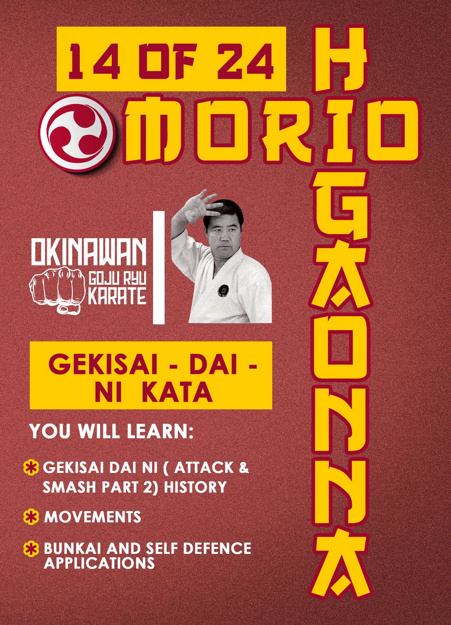 Mastering Traditional Okinawan Goju-Ryu Vol.14 - Gekisai - Dai - Ni Kata (CP-0295)