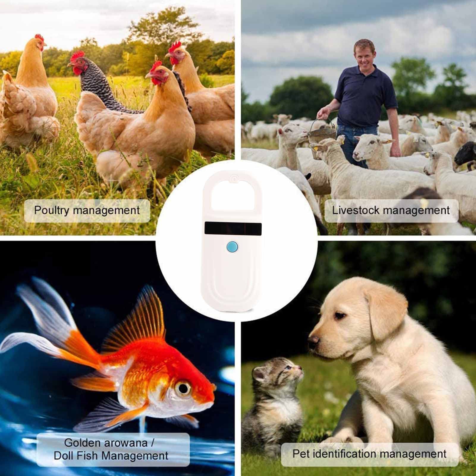SYH&AQYE Rechargeable Animal Chip ID Scanner, Pet Microchip Scanner Display Support FDX B ISO11784 / 11785 EMID Handheld Reader for Animal Pet Dog Cat