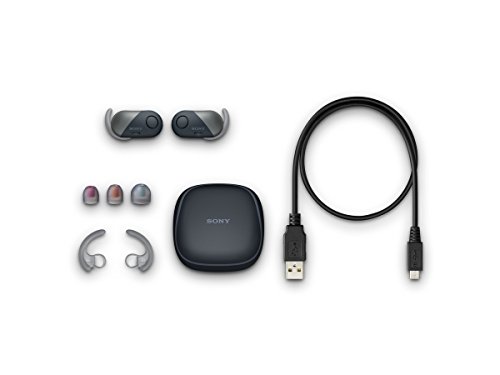 Sony Wireless Bluetooth In Ear Headphones: Noise Cancelling Sports Workout Ear Buds for Exercise and Running - Cordless, Sweatproof Sport Earphones, Built-In Microphone, EXTRA BASS –Black WF-SP700N/B
