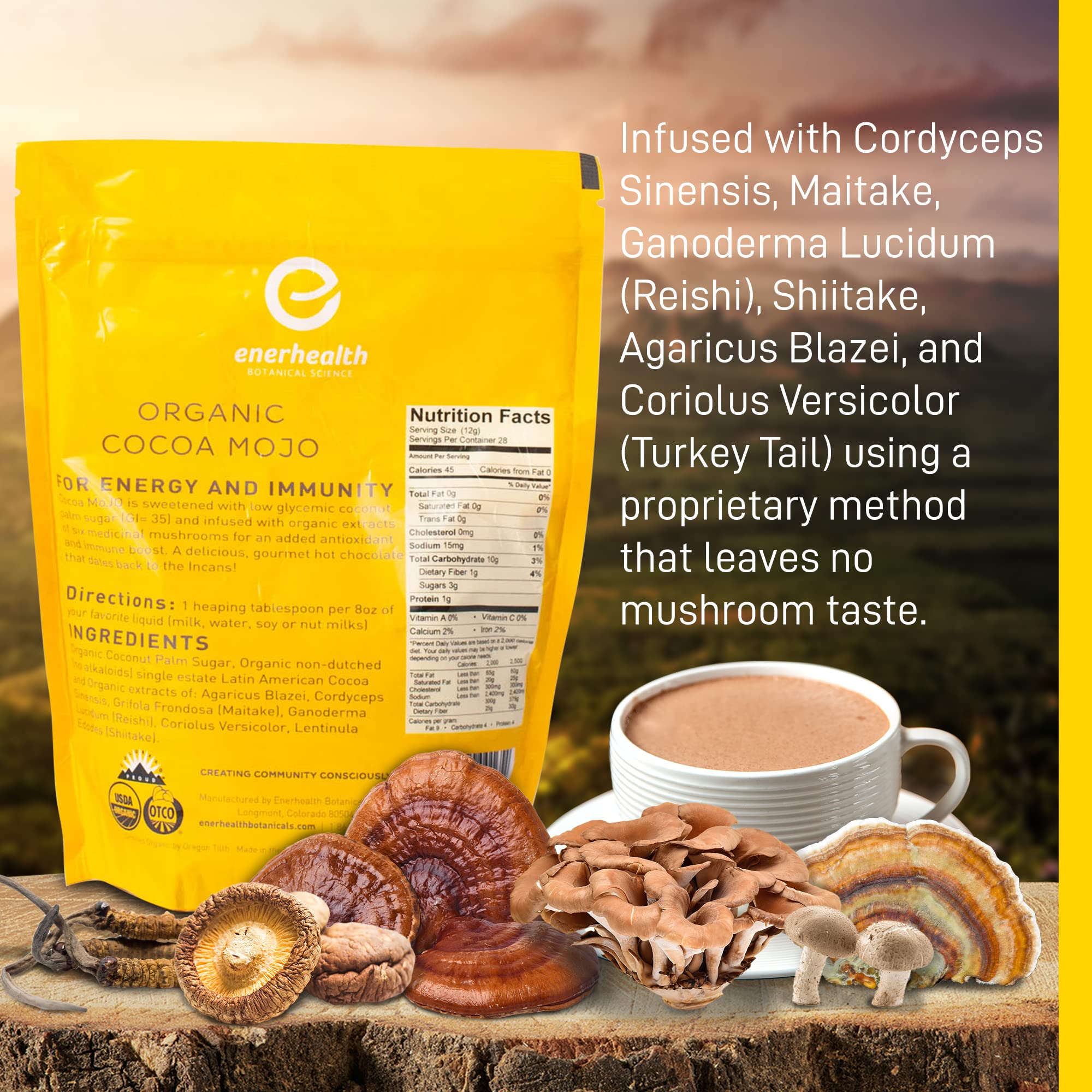 Enerhealth Botanicals Cocoa Mojo – Certified Organic Hot Chocolate Peruvian Cocoa Mix, Sweetened with Low Glycemic Coconut Palm Sugar and Infused with 6 Mushroom Extracts to Boost Immunity – 12 oz