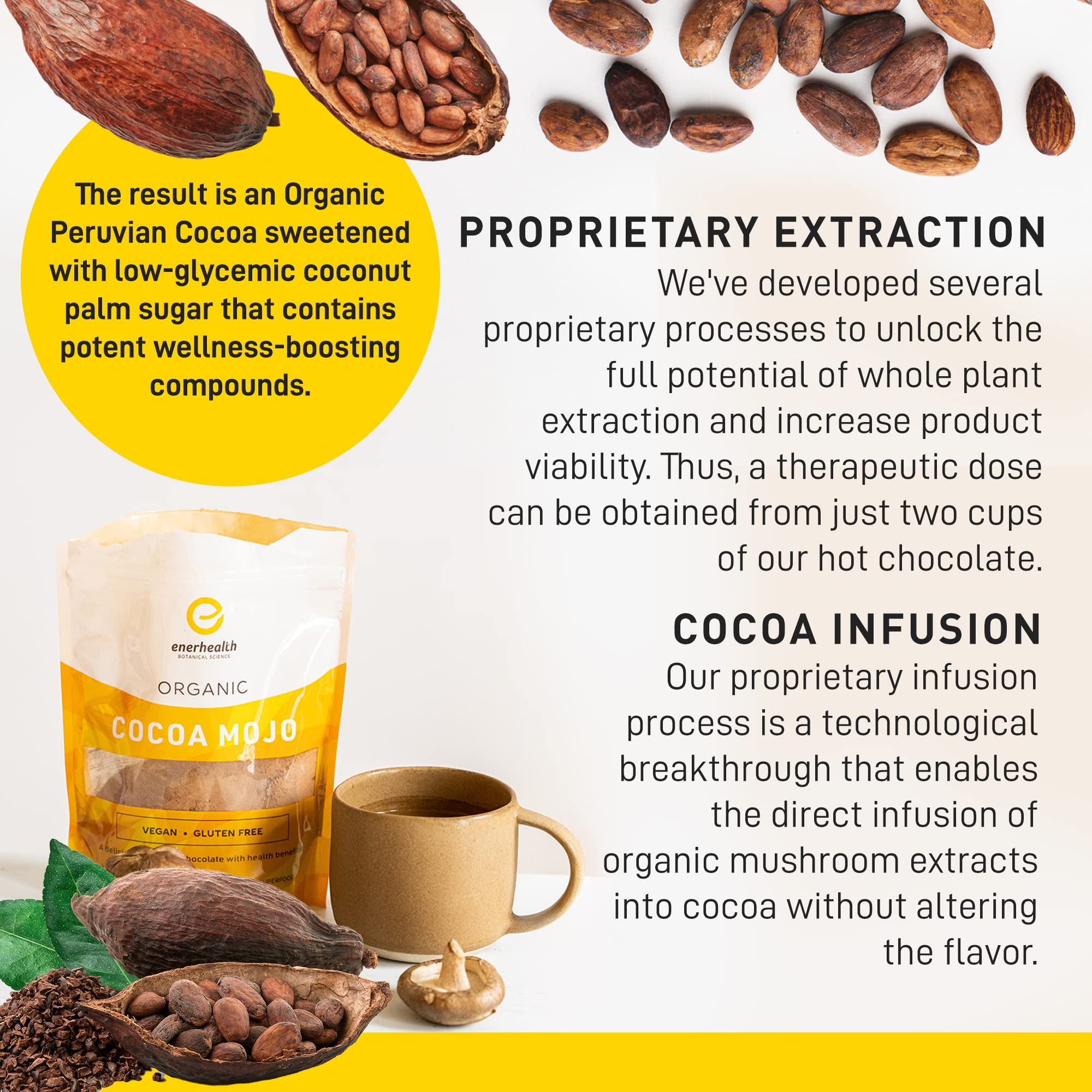 Enerhealth Botanicals Cocoa Mojo – Certified Organic Hot Chocolate Peruvian Cocoa Mix, Sweetened with Low Glycemic Coconut Palm Sugar and Infused with 6 Mushroom Extracts to Boost Immunity – 12 oz