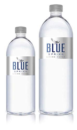 Blue Spring Living Water, Pure Premium Natural Spring Water, pH balance of 7.1-7.2, Bottled Spring Water, 16.9 Fl Oz, (Pack of 12)