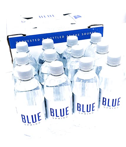 Blue Spring Living Water, Pure Premium Natural Spring Water, pH balance of 7.1-7.2, Bottled Spring Water, 16.9 Fl Oz, (Pack of 12)