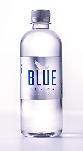 Blue Spring Living Water, Pure Premium Natural Spring Water, pH balance of 7.1-7.2, Bottled Spring Water, 16.9 Fl Oz, (Pack of 12)