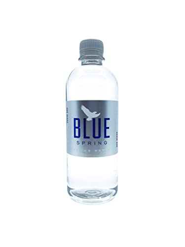 Blue Spring Living Water, Pure Premium Natural Spring Water, pH balance of 7.1-7.2, Bottled Spring Water, 16.9 Fl Oz, (Pack of 12)