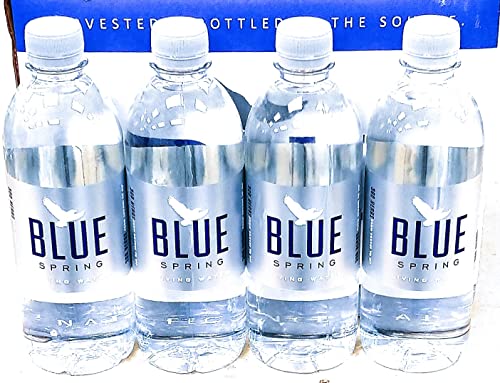 Blue Spring Living Water, Pure Premium Natural Spring Water, pH balance of 7.1-7.2, Bottled Spring Water, 16.9 Fl Oz, (Pack of 12)