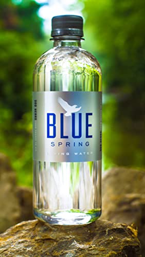 Blue Spring Living Water, Pure Premium Natural Spring Water, pH balance of 7.1-7.2, Bottled Spring Water, 16.9 Fl Oz, (Pack of 12)