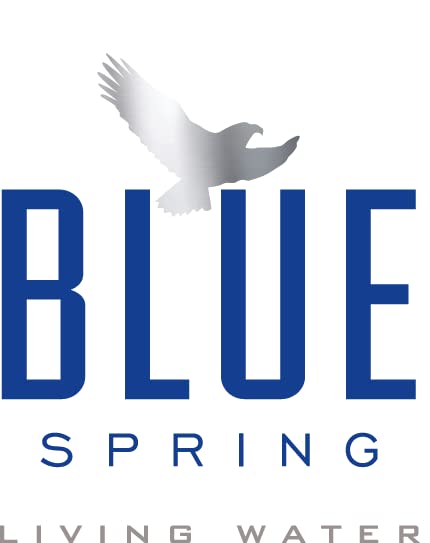 Blue Spring Living Water, Pure Premium Natural Spring Water, pH balance of 7.1-7.2, Bottled Spring Water, 16.9 Fl Oz, (Pack of 12)