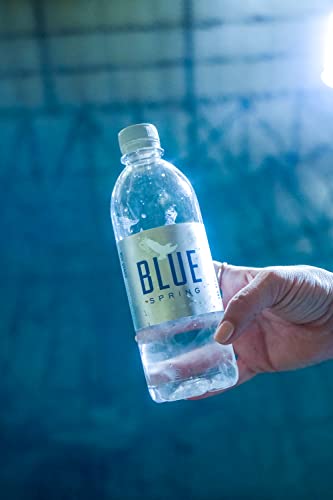Blue Spring Living Water, Pure Premium Natural Spring Water, pH balance of 7.1-7.2, Bottled Spring Water, 16.9 Fl Oz, (Pack of 12)