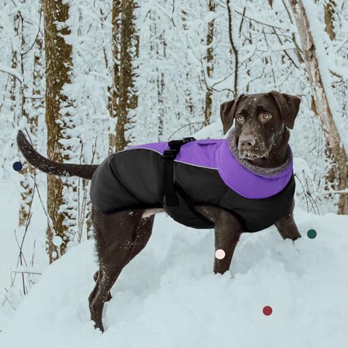 IECOii Extra Warm Dog Coat Reflective Adjustable Dog Jacket Dog Winter Coat with Buckle Fleece Turtleneck Dog Jacket for Cold Weather Soft Winter Coat for Small Medium Extra Large Dogs