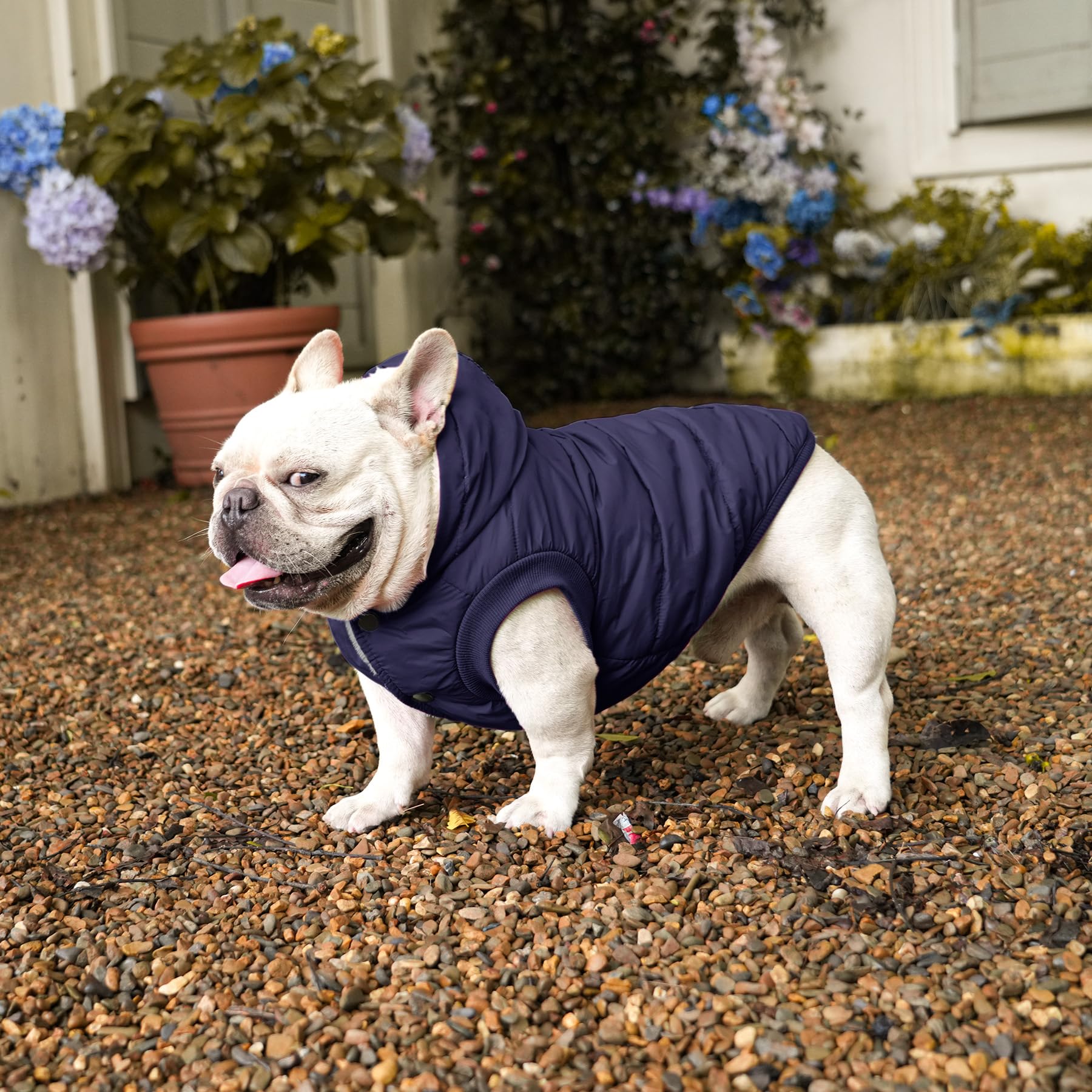 Vecomfy Fleece Lining Extra Warm Dog Hoodie in Winter for Small Dogs Jacket Puppy Coats with Hooded,Blue M