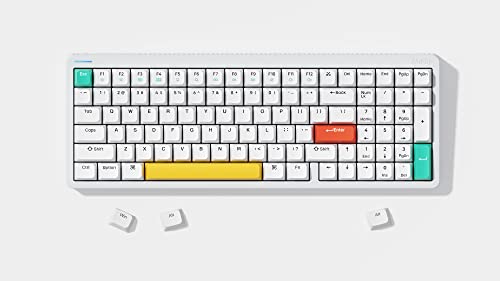 nuphy Halo96 Mechanical Gaming Keyboard, 96% RGB Hot-swap Wireless Keyboard, Supports Bluetooth、2.4G and Wired Connection,Compatible with Mac and Windows-White(Baby Kangaroo)