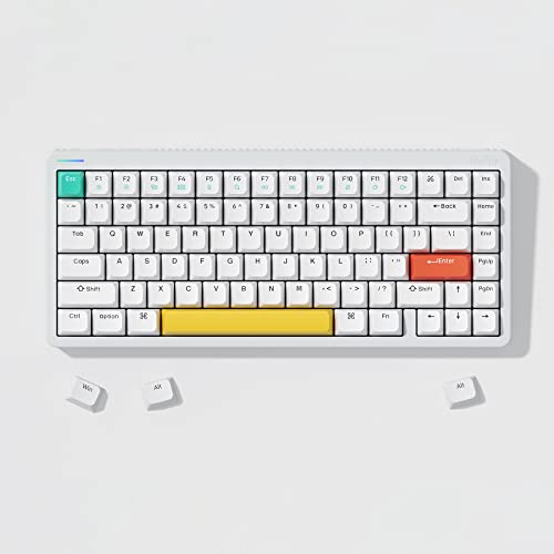 nuphy Halo75 Mechanical Gaming Keyboard, 75% RGB Hot-swap Wireless Keyboard, Supports Bluetooth、2.4G and Wired Connection,Compatible with Mac and Windows-White(Baby Kangaroo)