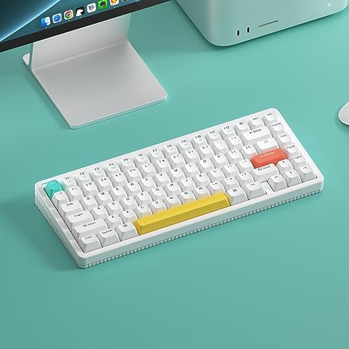 nuphy Halo75 Mechanical Gaming Keyboard, 75% RGB Hot-swap Wireless Keyboard, Supports Bluetooth、2.4G and Wired Connection,Compatible with Mac and Windows-White(Baby Kangaroo)