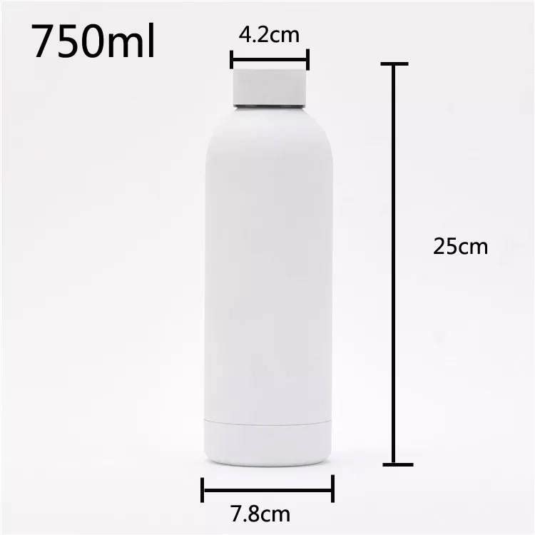 HISHTA 750mL Insulated Drinking Water Bottle - Double Wall Stainless Steel, BPA-Free, 12-24 Hour Thermal Insulation Performance, Sports Water Bottle with Secure Twist Cap - Navy Blue