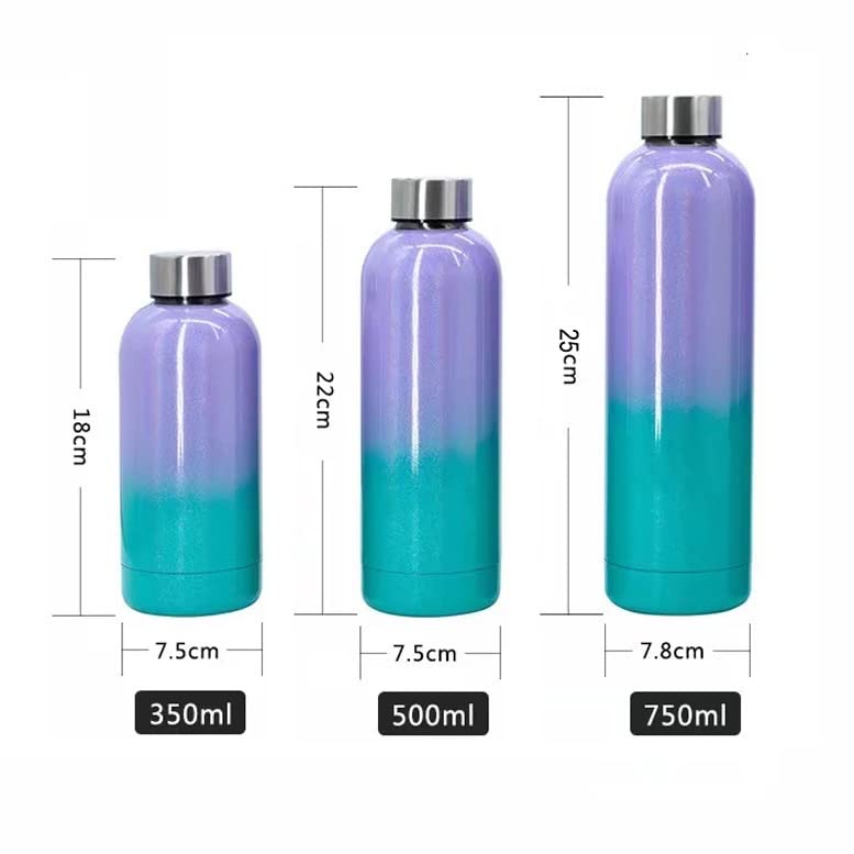 HISHTA 750mL Insulated Drinking Water Bottle - Double Wall Stainless Steel, BPA-Free, 12-24 Hour Thermal Insulation Performance, Sports Water Bottle with Secure Twist Cap - Navy Blue