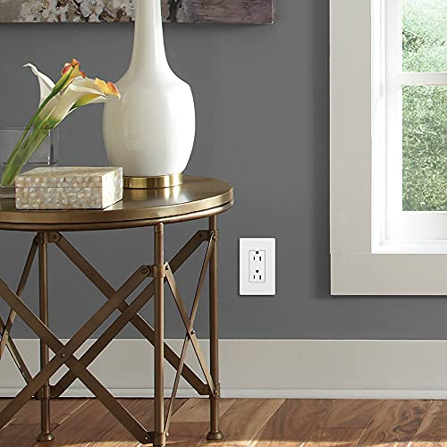 Lutron Claro 15 Amp Duplex Outlet, Black, with 1-Gang Wallplate