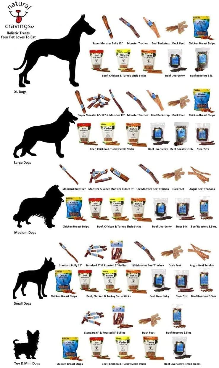 Natural Cravings USA Chicken Breast Strip Chews for Dogs | All Natural, High Protein | Premium Quality Pet Treat | 10 oz. Bag 2 Pack