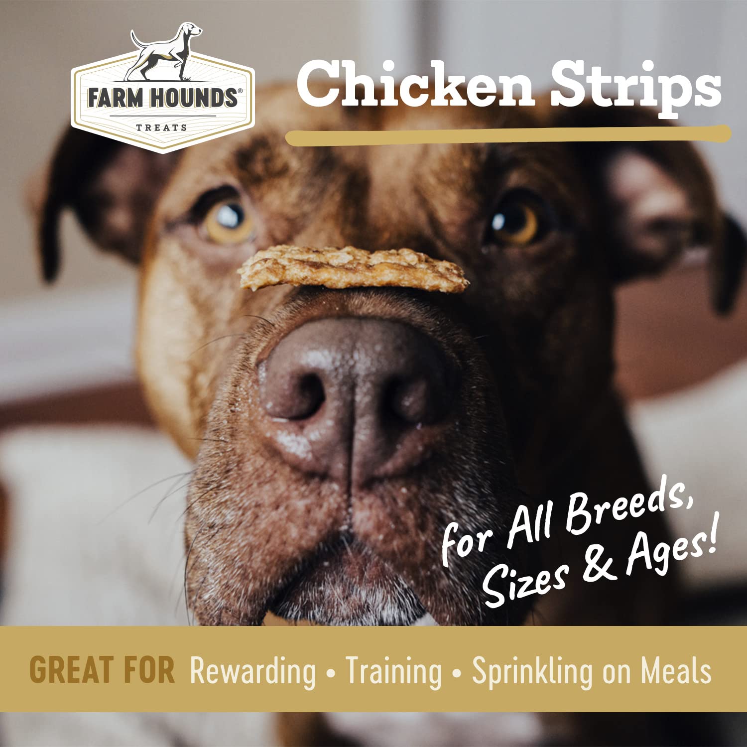 Farm Hounds - Chicken Strips - Premium Natural Chicken Jerky For Dogs - From 100% Humanely Raised Chicken - Break-To-Size - Great For Training & Treats - No Added Fillers - Made in USA -4.5oz - 1 Pack
