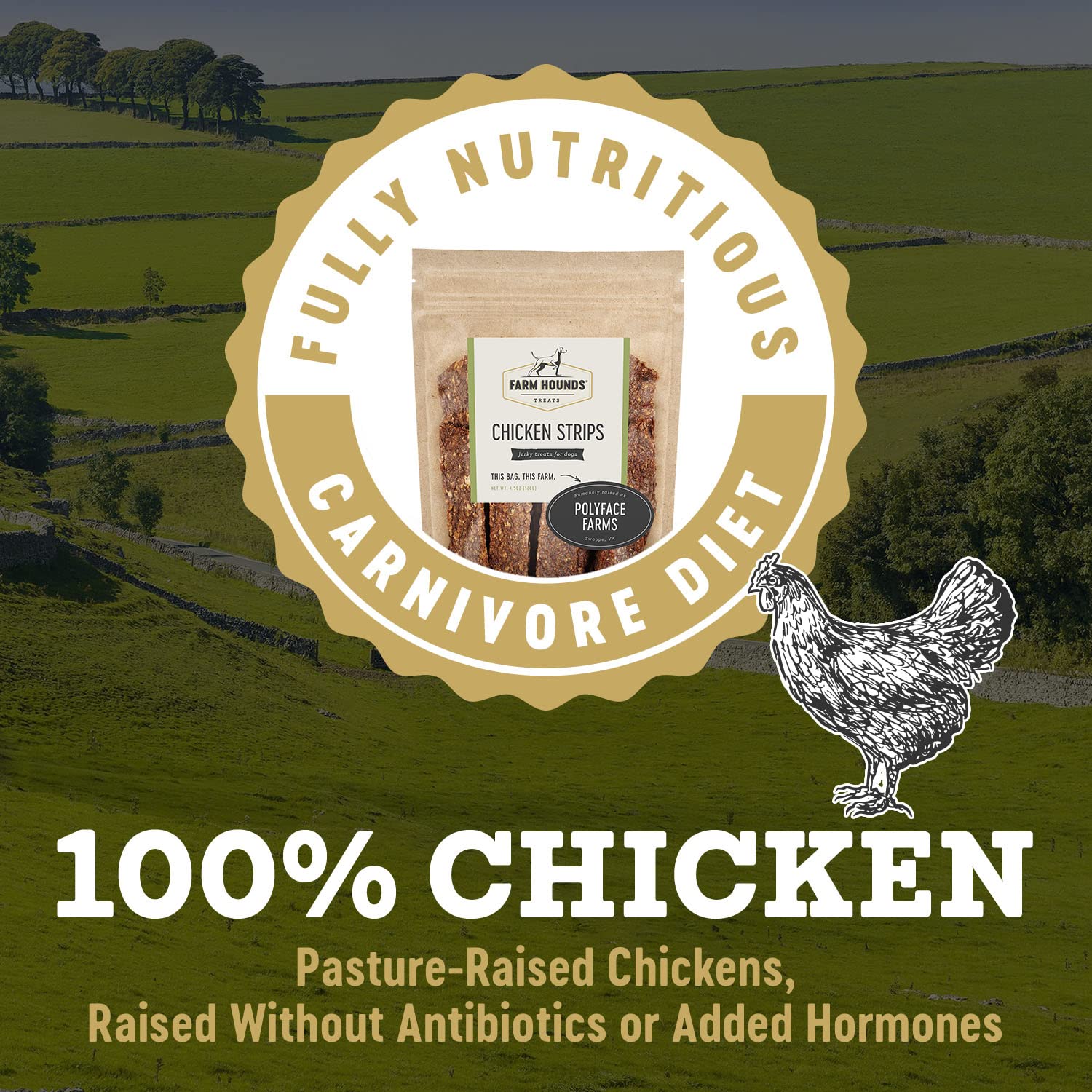 Farm Hounds - Chicken Strips - Premium Natural Chicken Jerky For Dogs - From 100% Humanely Raised Chicken - Break-To-Size - Great For Training & Treats - No Added Fillers - Made in USA -4.5oz - 1 Pack