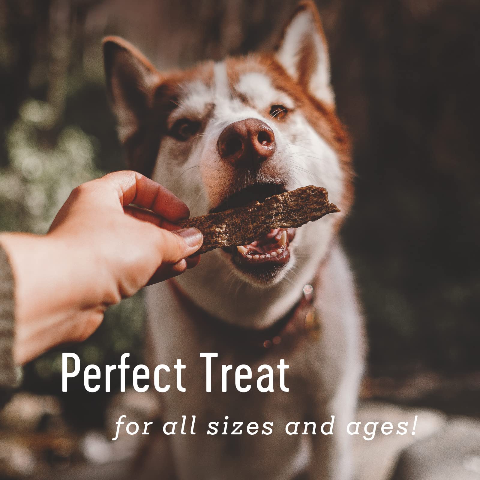 Farm Hounds - Chicken Strips - Premium Natural Chicken Jerky For Dogs - From 100% Humanely Raised Chicken - Break-To-Size - Great For Training & Treats - No Added Fillers - Made in USA -4.5oz - 1 Pack