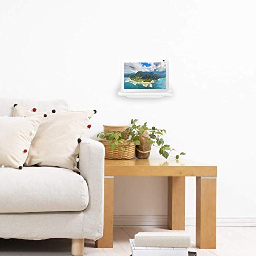 HomeMount Mount for Google Nest Hub - Wall Mount Holder Shelf Compaitble with Google Nest Hub/NEST HUB (2nd gen)/NEST HUB MAX (White)