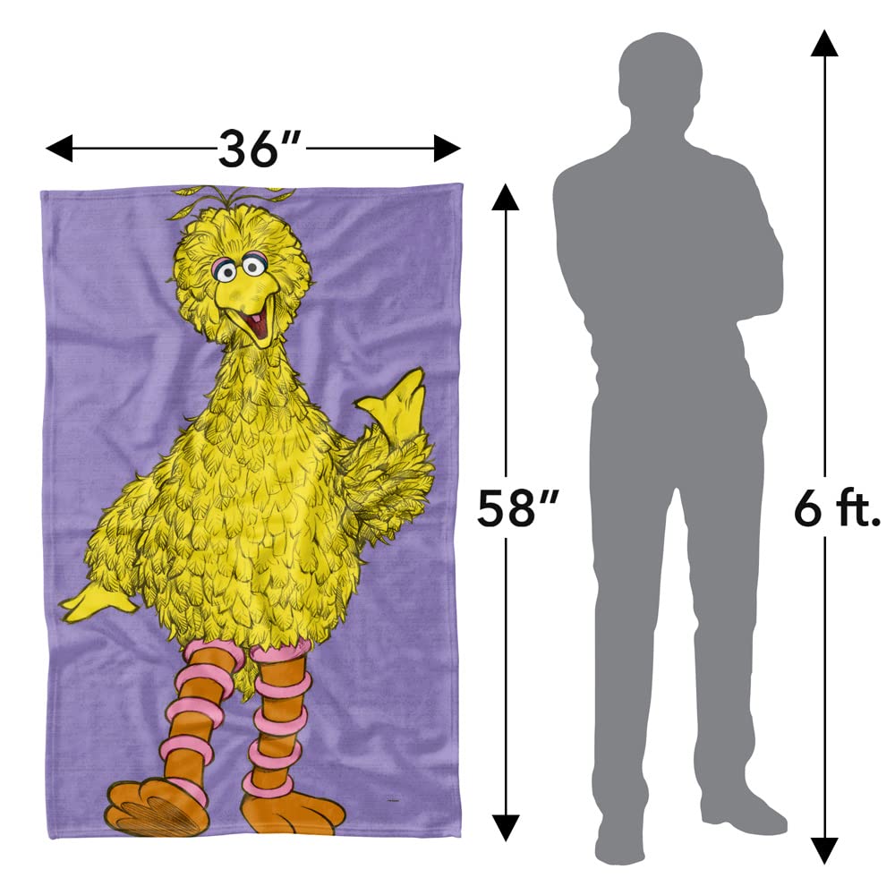 LOGOVISION Sesame Street Big Bird Painted Officially Licensed Fleece Blanket 36" x 58"