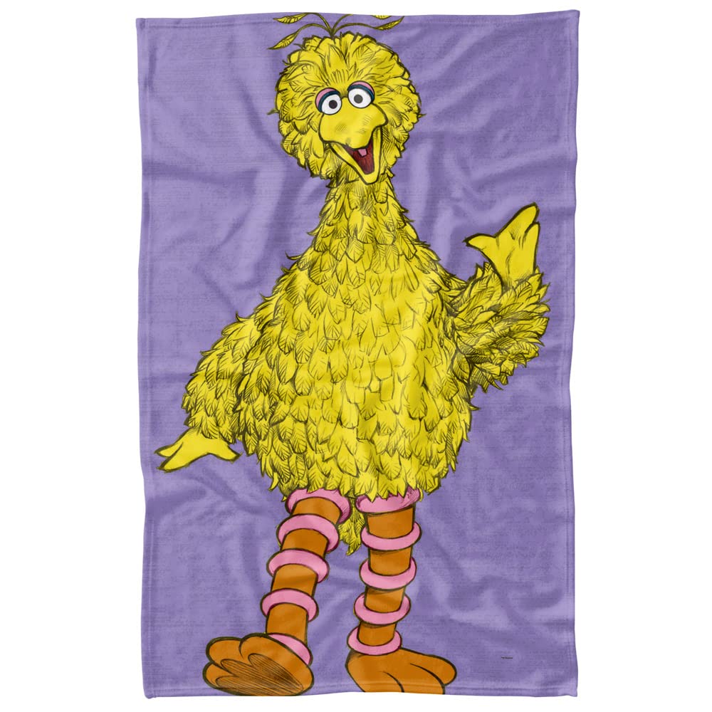 LOGOVISION Sesame Street Big Bird Painted Officially Licensed Fleece Blanket 36" x 58"