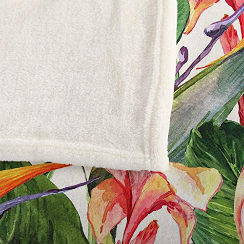 Mugod Tropical Flowers Throw Blanket Seamless Exotic Floral Pattern Bird of Paradise Decorative Soft Warm Cozy Flannel Plush Throws Blankets for Bedding Sofa Couch 60 X 80 Inch