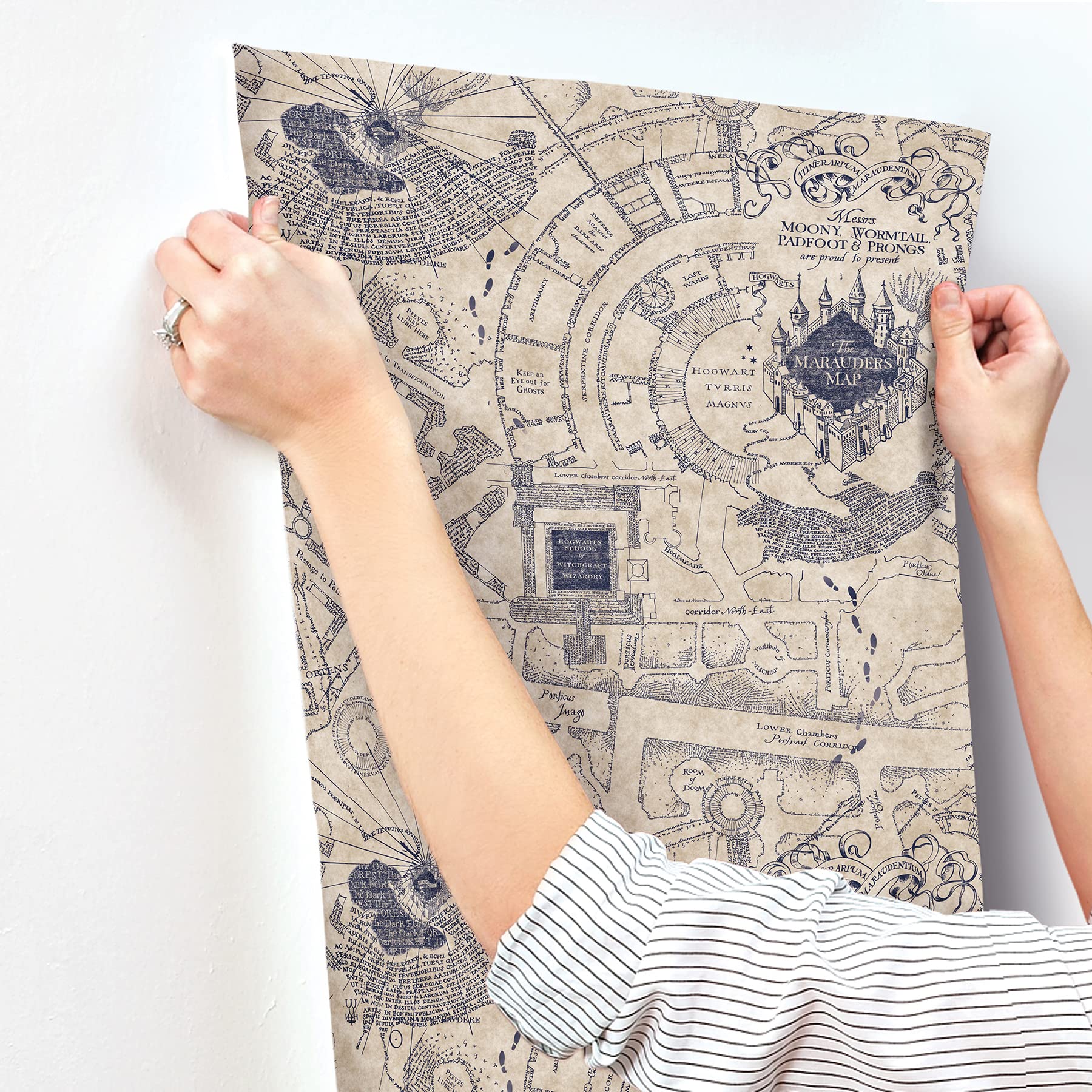 RoomMates RMK12436RL Blue Harry Potter Marauder's Map Peel and Stick Wallpaper