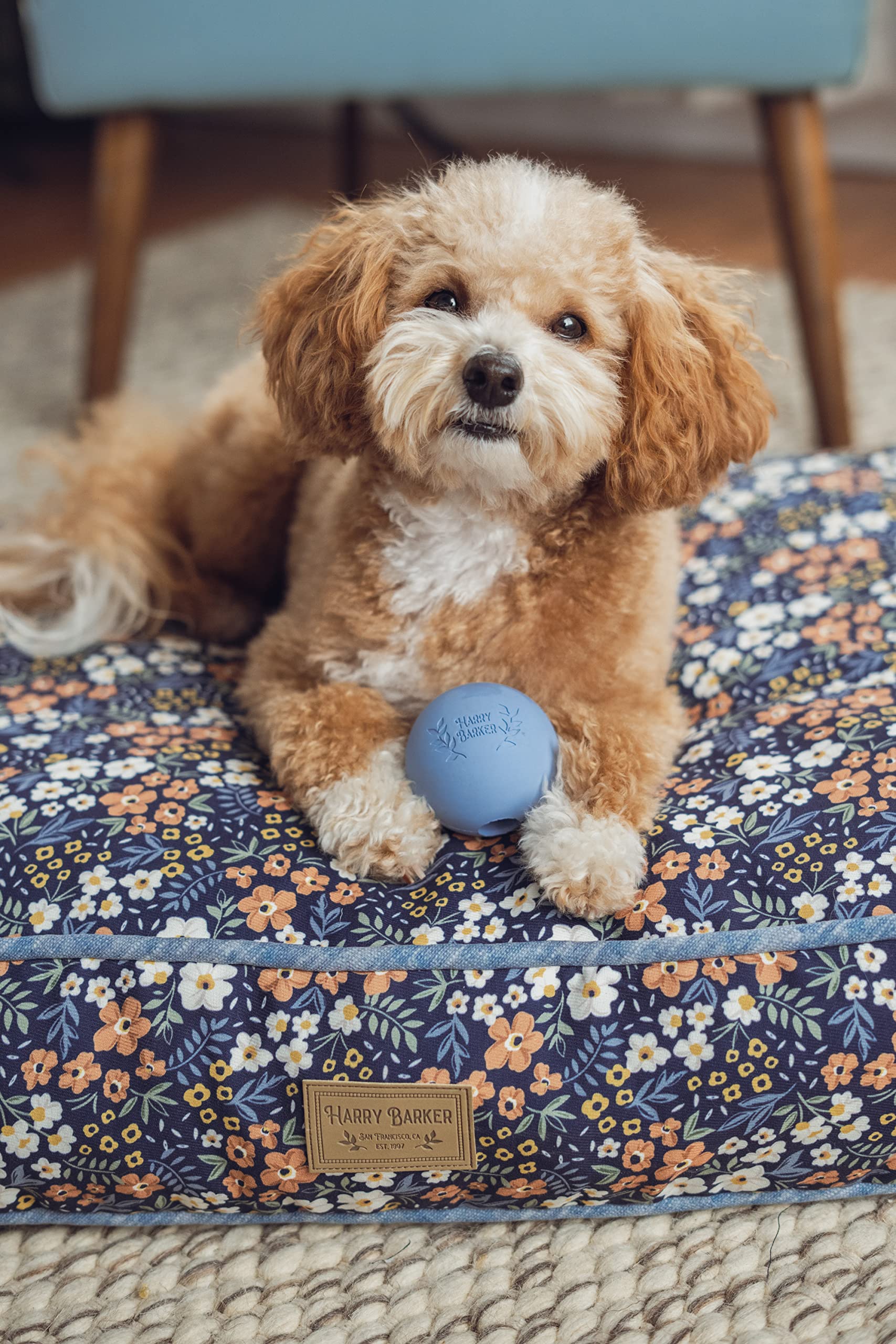 Harry Barker Rubber Balls and Rubber Chew Stick, Rubber Bone for Dogs - 2.5" Rubber Balls - 6 Pack