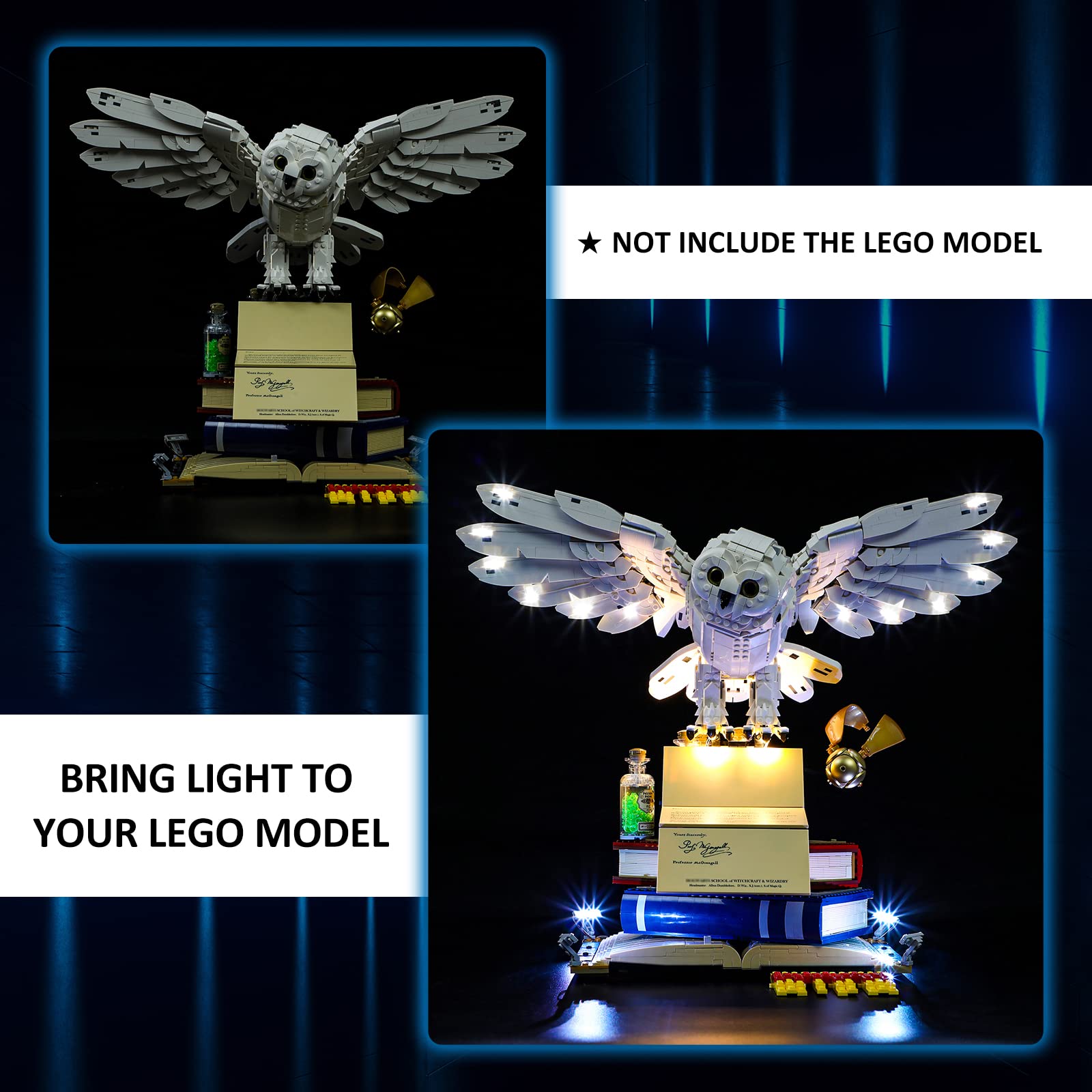 YEABRICKS LED Light for Lego-76391 Harry Potter Hogwarts Icons - Collectors' Edition Building Blocks Model (Lego Set NOT Included)