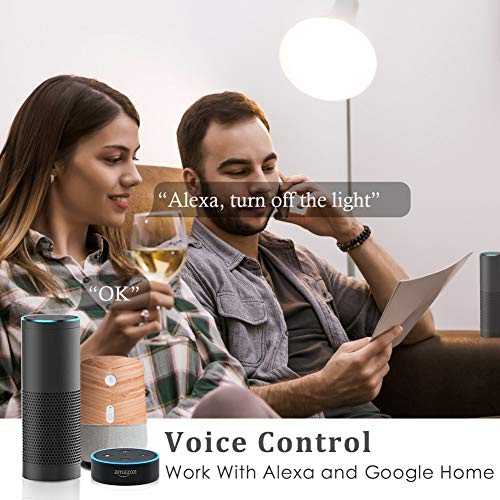 Smart Plug, Wi-Fi Outlet Switch That Work with Alexa/Google Home/Smart Life, Timer Schedule ON/Off Plug, Mini Wireless Socket, 2.4 GHz, No Hub Required, 2 Pack