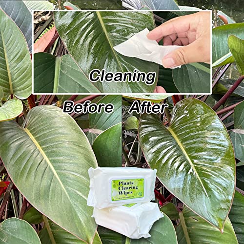 AUSHUCU Plants Cleaning Wipes Weave Unscented Wipes,Clean and Photosynthesis leaf cleaner for House Plants Outdoor Plants(2 Pack/160 Wipes)