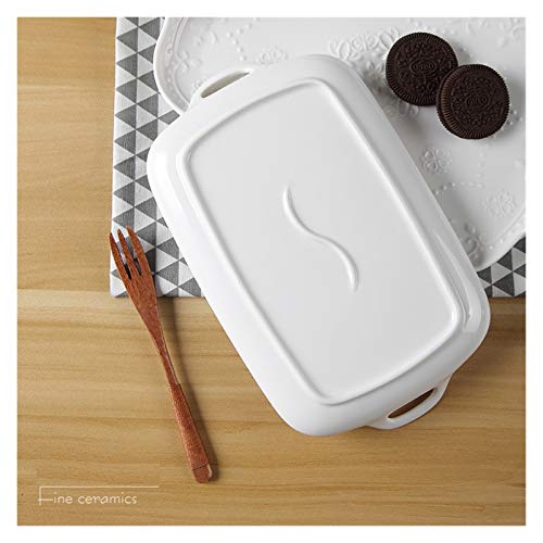 LEUYA Dinner Plate 2pcs Set,10+12inch, White Embossed Porcelain Square Tray with Handle, Ceramic Buffet Tray, Chafing Dish, Display Plate